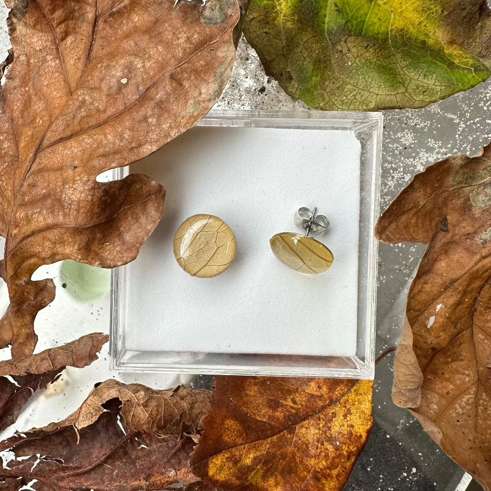 Ørestikker / Venation / Brunligt Blad / Stor